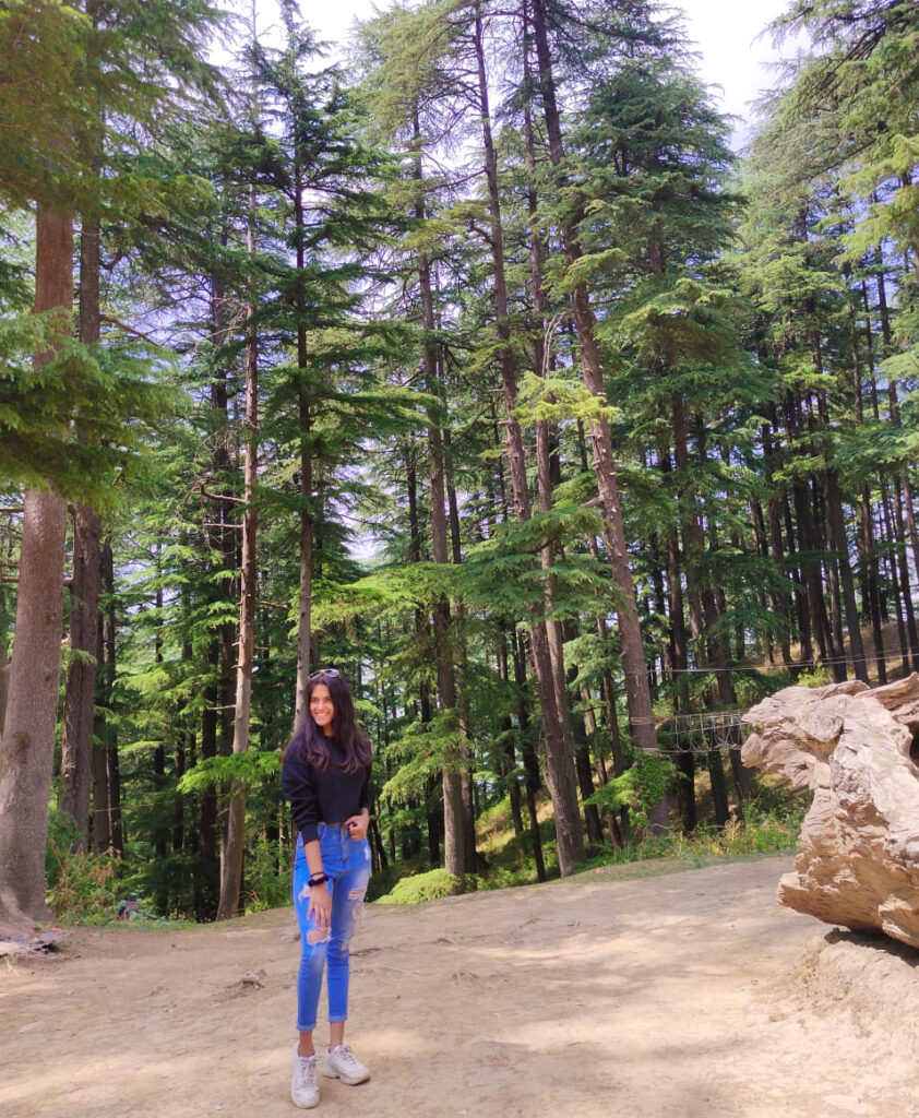 Exploring the Best of Shimla: A 2-Day Travel Guide - EYE OF COMPASS